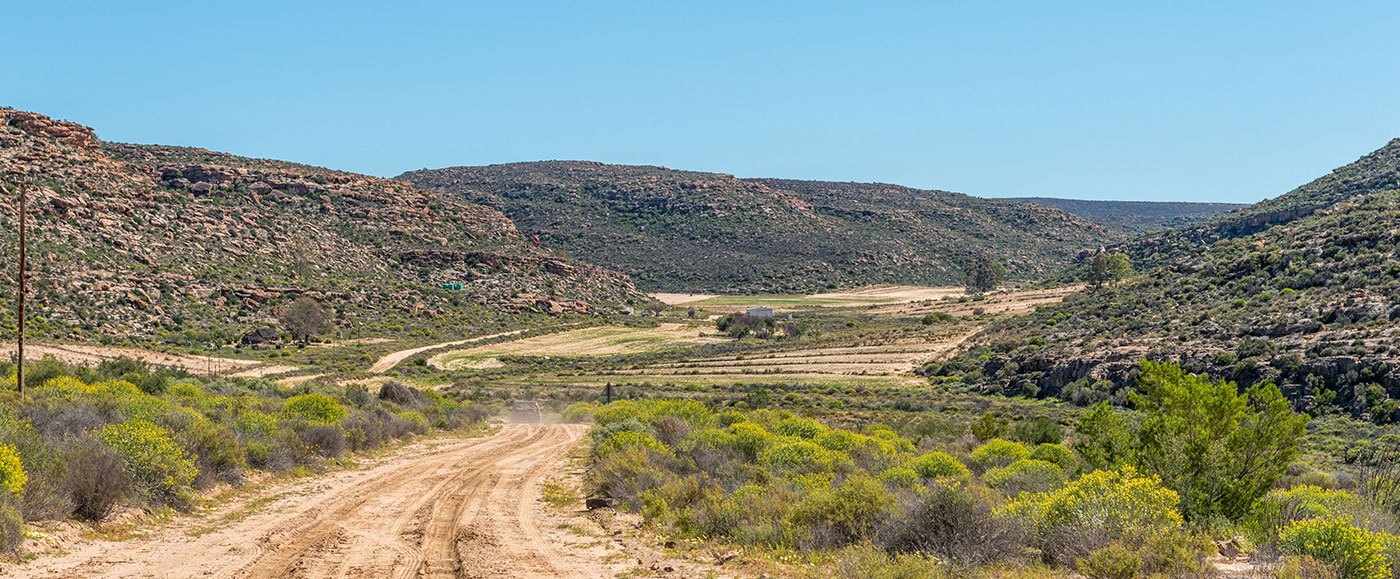 Road to Rooibos: A Self-Drive Journey Through the Cederberg’s Tea ...
